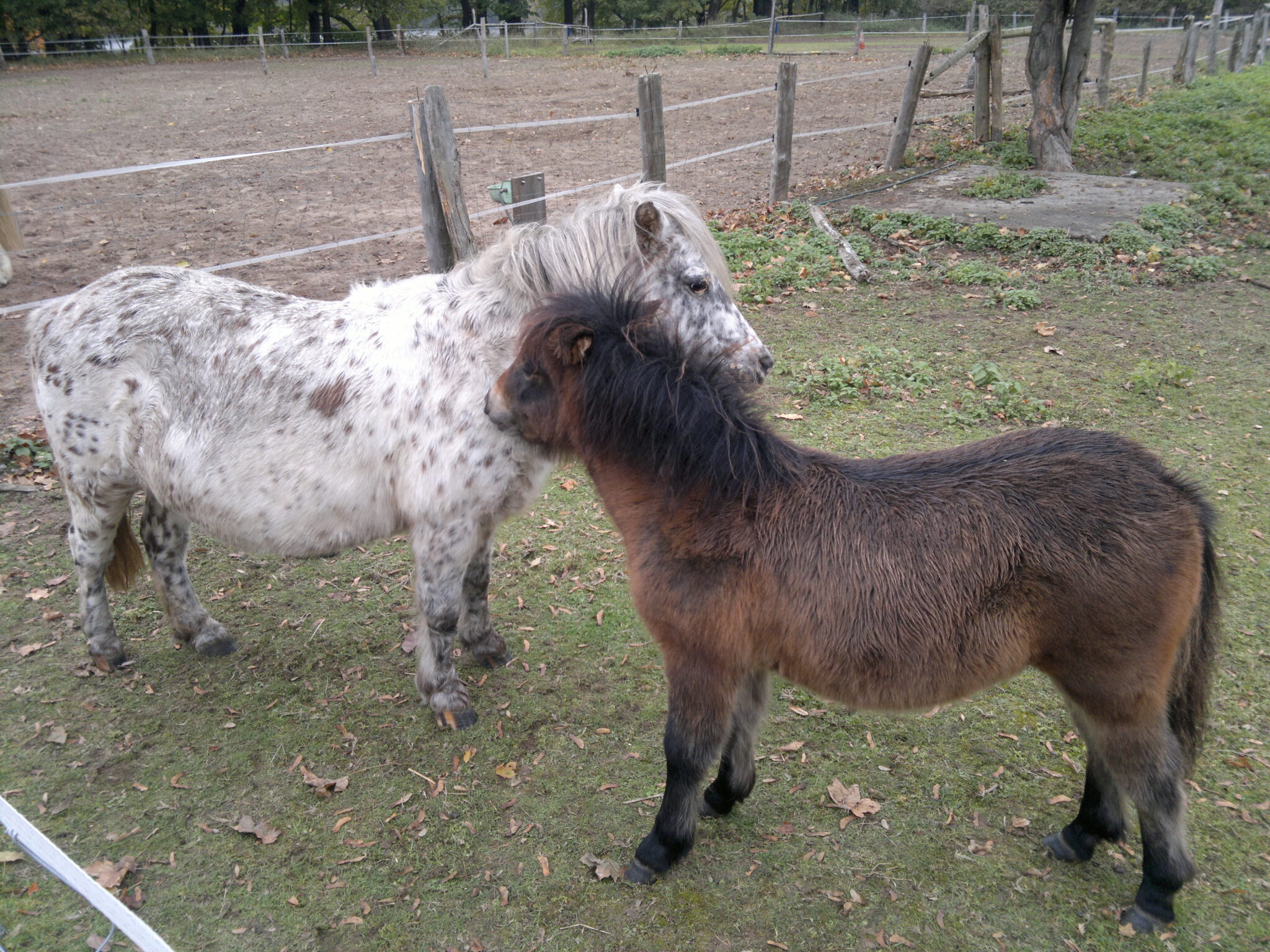 Tina Beitragsbild – Schulfarm Insel Scharfenberg